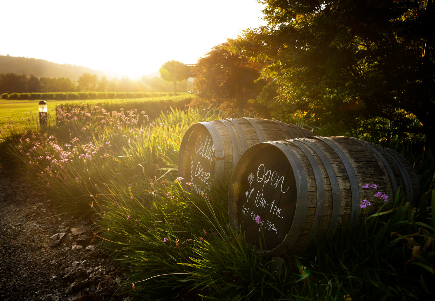 Bunnamagoo Estate Wines