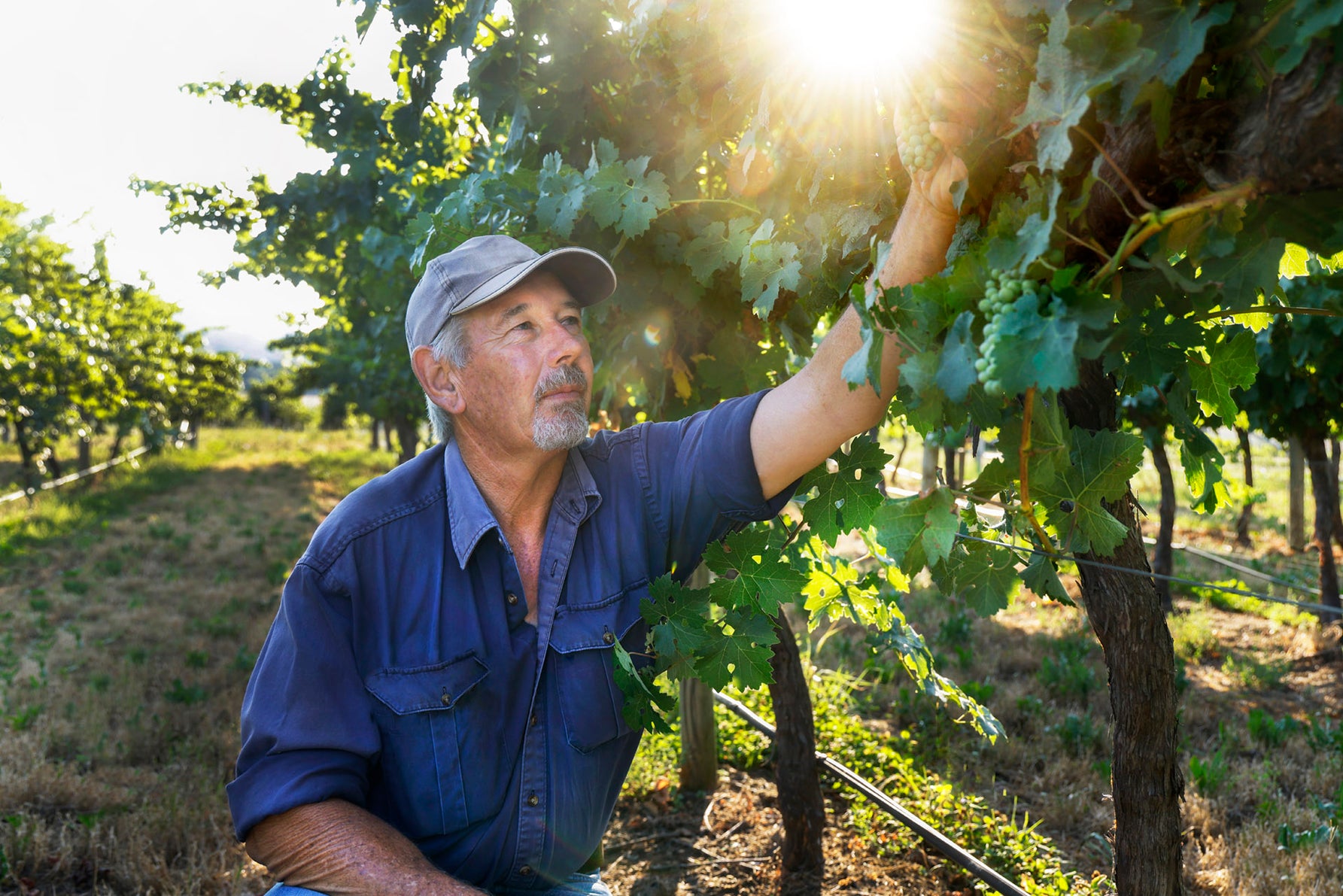 Bunnamagoo Estate Wines